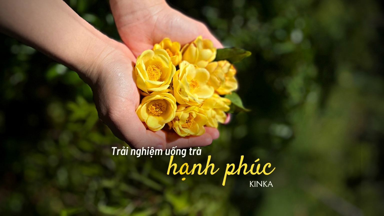 KINKA – Thương Hiệu Chăm Sóc Sức Khỏe Xanh, Được Công Nhận “Vì Môi Trư